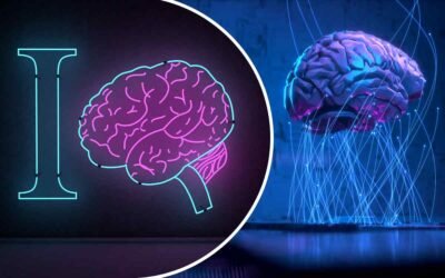 Cerebrum IQ Review | A Complete Guide to IQ Tests